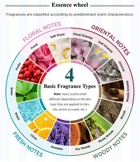 Fragrance Wheel Strengths Chart Perfume Direct® Artofit
