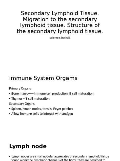 Secondary Lymphoid Tissue Migration To The Secondary Lymphoid Tissue