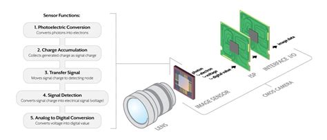 Understanding The Digital Image Sensor Lucid Vision Labs