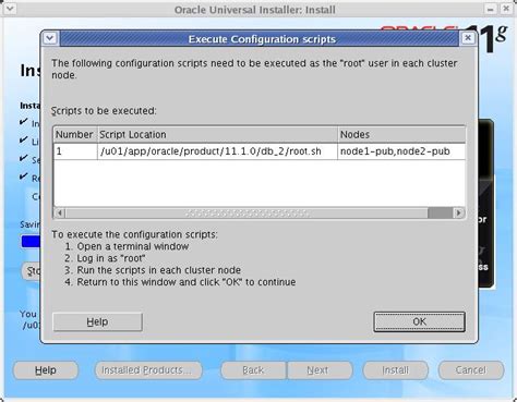 Install 11g Rac 11g R1 For Db Home