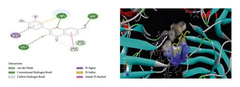 In Silico Molecular Docking Analysis Of 2d And 3d Interactions Among Download Scientific