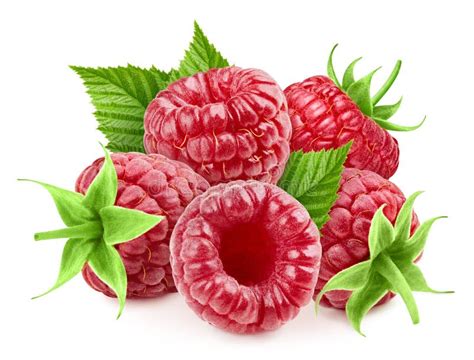 Fresh Organic Raspberry With Leaves Isolated Stock Image Image Of Organic Berry 306129227