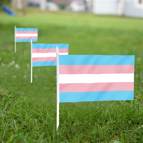 Transgender Stick Flag 5x8 Inch Anley Flags