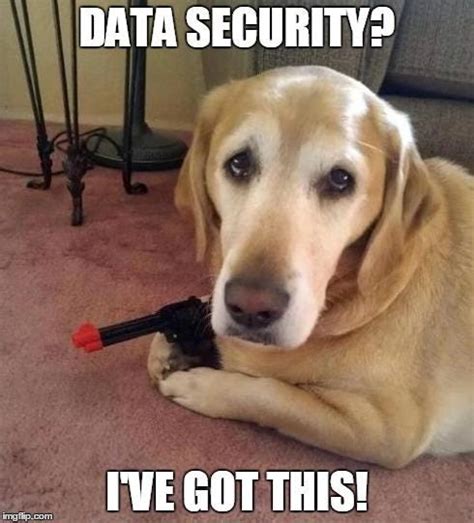 Fortifying Your Data Fortress Postgresql Security Best Practices By