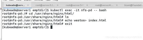 k8s之 volumes配置管理（emptydir、hostpath、nfs方式挂载卷） hostpath挂载目录不能插入log csdn博客
