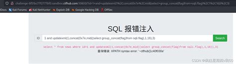 ctfhub sql注入 报错注入 ctfhubsql 报错注入 csdn博客