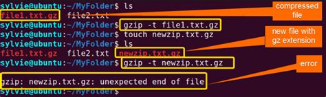 The “gzip” Command In Linux 9 Practical Examples
