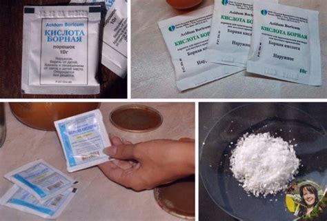 ПРИМЕНЕНИЕ БОРНОЙ КИСЛОТЫ В САДУ И ОГОРОДЕ Такое вещество как бор необходим растениям для