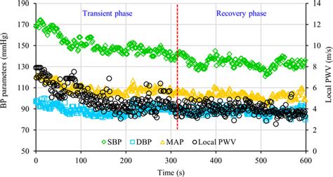 A Sample Post Exercise Recovery Curve Beat By Beat Sbp Dbp Map And