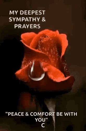 Condolences Sympathy  Condolences Sympathy Discover And Share S