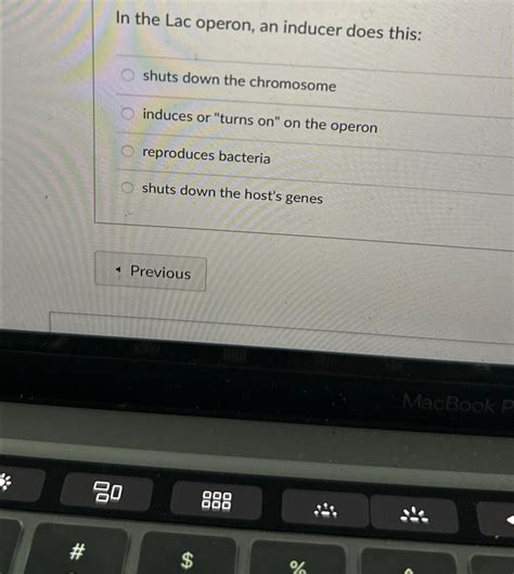 Solved In The Lac Operon An Inducer Does Thisshuts Down
