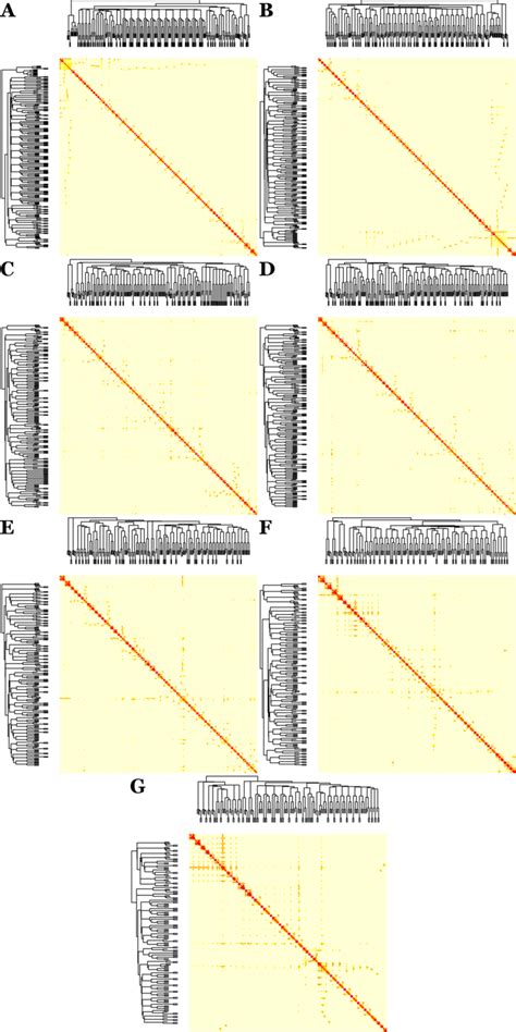 Topological Overlap Analysis Hierarchical Organization Of Eucaridan