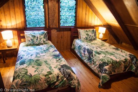 The Canopy Treehouses Unique Hotels In Cairns Adventure Baby