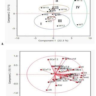 Principal Component Analysis PCA Illustrating The Genetic Diversity