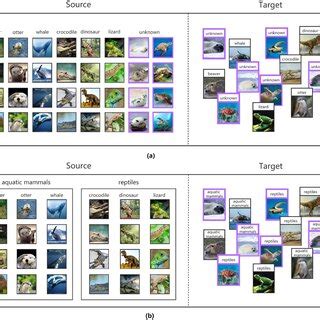 The Major Difference Between Open Set Recognition OSR And Open Set