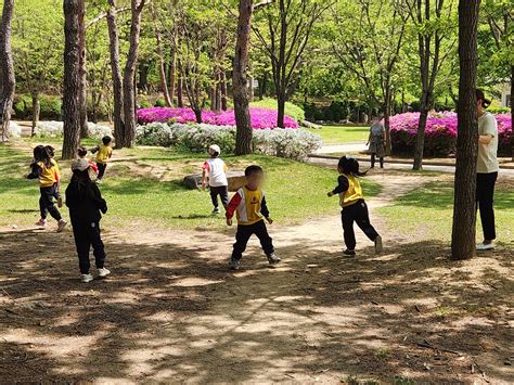 기분전환이 필요할 때 경주 여기를 찾으세요 광주 교육 신문gwangju Education