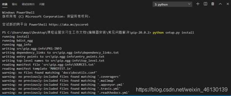 使用vscode安装pip教程 Csdn博客