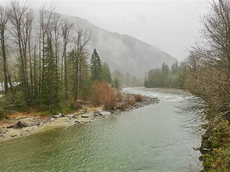 Index Cabins In Washington Review A Weekend In The Trees