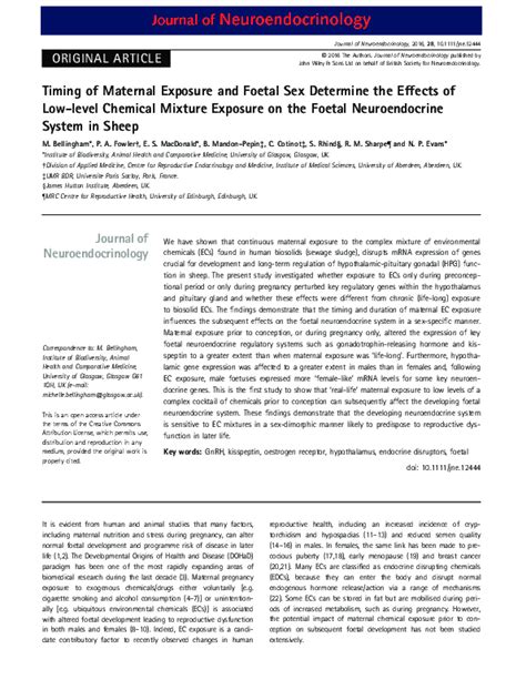 Pdf Timing Of Maternal Exposure And Foetal Sex Determine The Effects Of Low Level Chemical