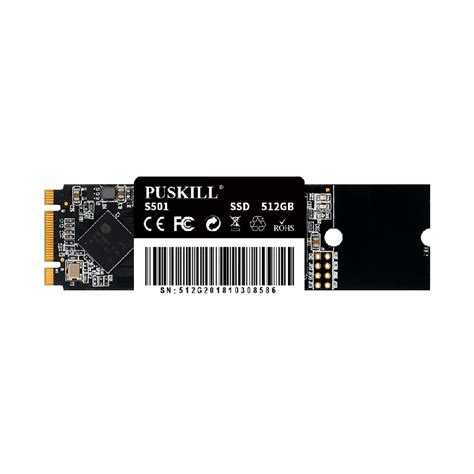 PUSKILL SSD M.2 2280 256GB SSD Price In Sri Lanka | Central Computers ...