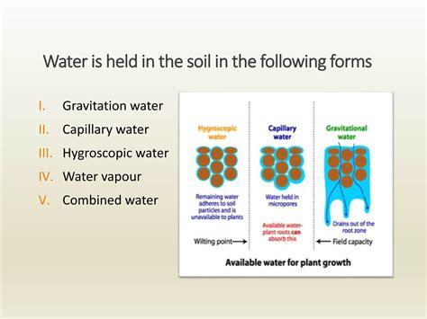 Inorganic And Organic Components Of Soil Soil Composition Pptx