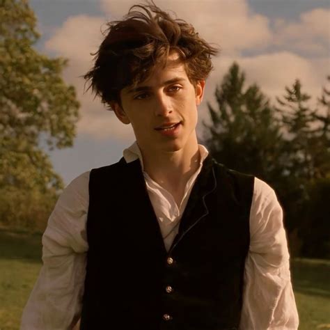 Timothée Chalamet As Laurie Lawrence In The Movie Little Women 2019
