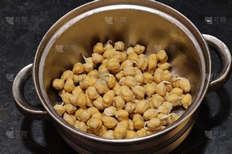 新鲜发芽的鹰嘴豆在白色的背景