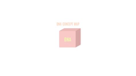Dna Concept Map By Wana Habibzada On Prezi
