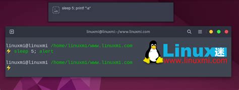 个鲜为人知的 Linux 终端提示和实验 Linux迷