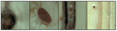 Wood Defect Detection Based On Depth Extreme Learning Machine