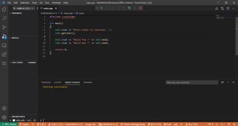 Can Not Wait For User Input · Issue 262 · Webfreak001code Debug · Github