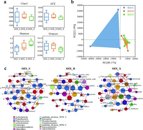 Bacterial Diversity And Bacterial Interaction Networks In Different