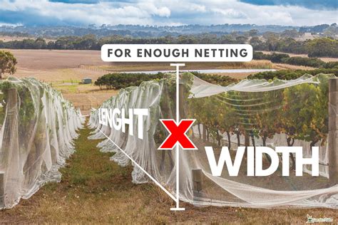 How To Install Bird Netting Over A Garden