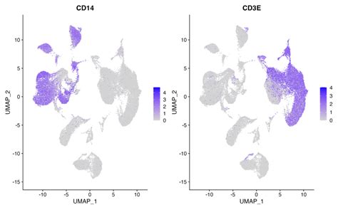 【scrna Seq】assigning Cell Types To Each Cluster Automatically Using