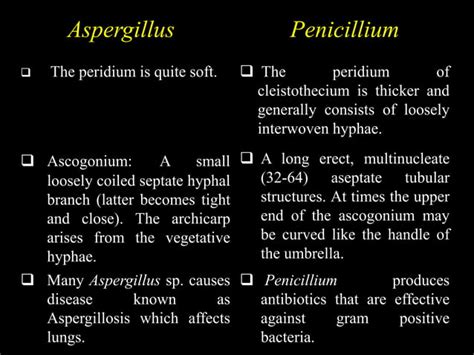 Aspergillus And Penicillium Ppt