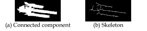Skeleton Of A Connected Component From Fig 5b Download Scientific Diagram