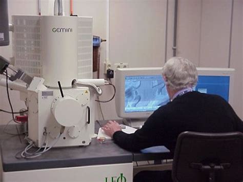 Esa Field Emission Scanning Electron Microscopy Fesem