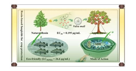 Design Synthesis And Biological Activity Evaluation Of Eco Friendly Rosin Diamide Based