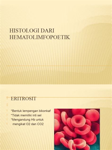 Histologi Dari Hematolimopoetik Tugas Pdf