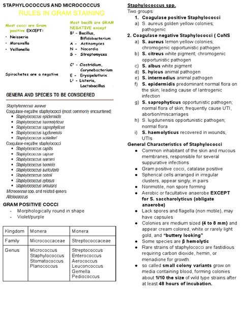 Staphylococcus And Micrococcus Pdf Staphylococcus Staphylococcus Aureus