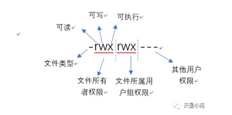 Linux 基础学习：文件权限与种类 阿里云开发者社区