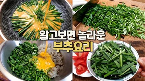 평생 써먹는 부추 요리 6가지👍 너무 쉬워서 죄송합니다 2024 요리 레시피