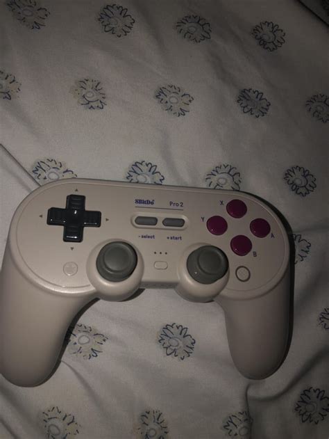 Pro Controller Vs 8bitdo R Switch