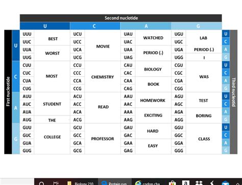 Solved Using The Codon Chart Provided Create Your Own Chegg Com