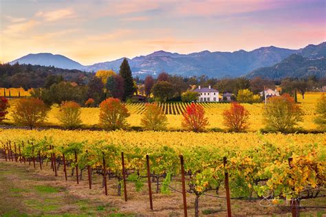 California Wine Country Wine Valley Print Napa Valley Fall Sunset