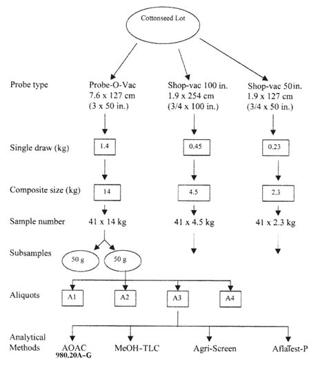 Schematic Representation Of Sampling And Sample Treatment Used In The Download Scientific