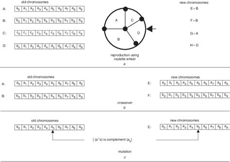 Example Of Three GA Operators Download Scientific Diagram