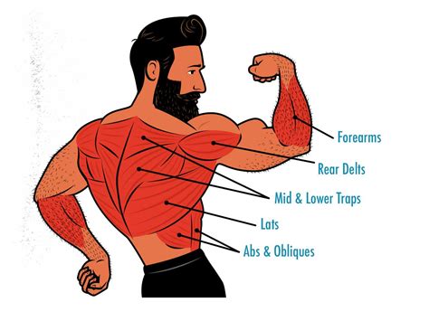 Whats The Difference Between Chin Ups And Pull Ups Which Is Better