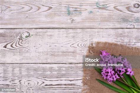 흰색 나무 테이블에 신선한 분홍색 꽃 히 평면도 복사 공간 0명에 대한 스톡 사진 및 기타 이미지 0명 공휴일 꽃 나무 Istock