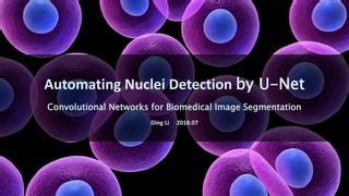 Find Nuclei In Images With U Net PPT